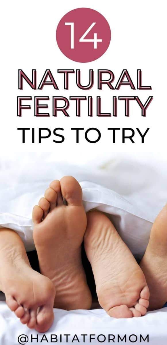 14 Natural Ways To Boost Fertility – Habitat for Mom