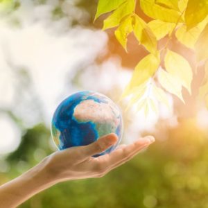 Earth Day Activities and Things to do to Help the Planet – Habitat for Mom