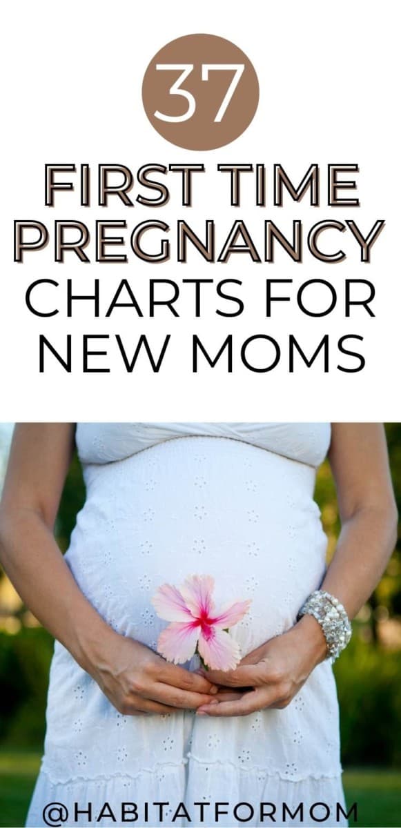37 Charts Every Pregnant Women Should Save to Pinterest – Habitat for Mom