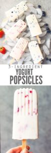 30+ Ultimate Summer Popsicle Recipes – Habitat for Mom