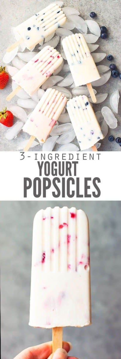 30+ Ultimate Summer Popsicle Recipes – Habitat for Mom