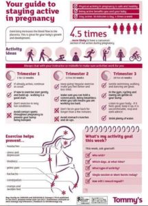 37 Charts Every Pregnant Women Should Save to Pinterest – Habitat for Mom