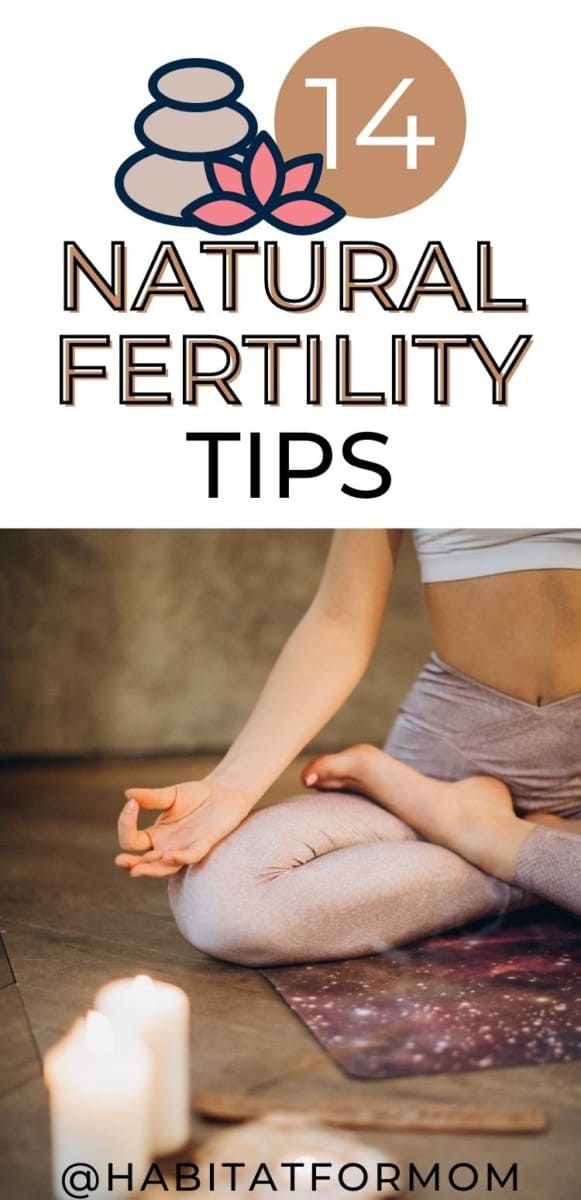 14 Natural Ways To Boost Fertility – Habitat for Mom