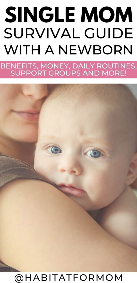 How to Survive as A Single Mom with A Newborn – Habitat for Mom