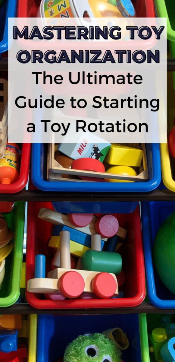 Mastering Toy Organization: The Ultimate Guide to Starting a Toy ...