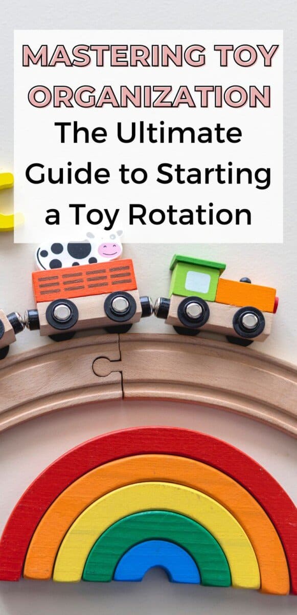 Mastering Toy Organization: The Ultimate Guide to Starting a Toy ...