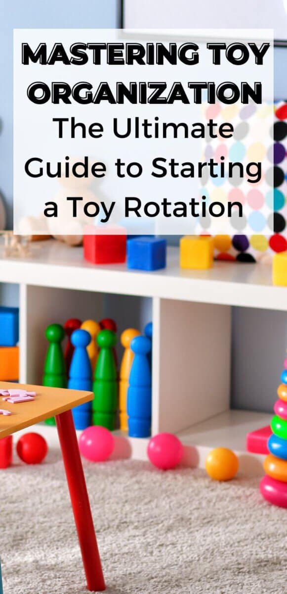 Mastering Toy Organization: The Ultimate Guide to Starting a Toy ...